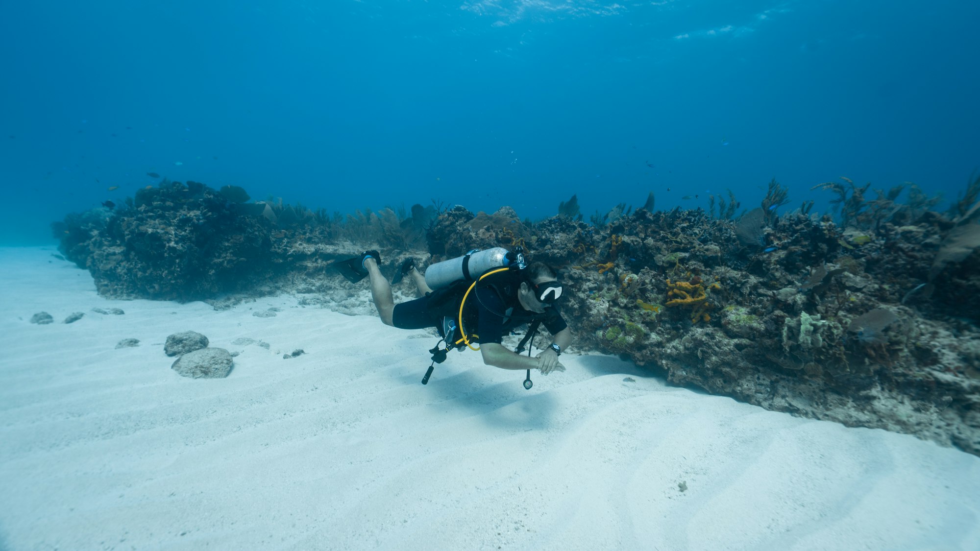 Las Mejores Técnicas de Buceo para Mejorar tu Experiencia en el Agua ...